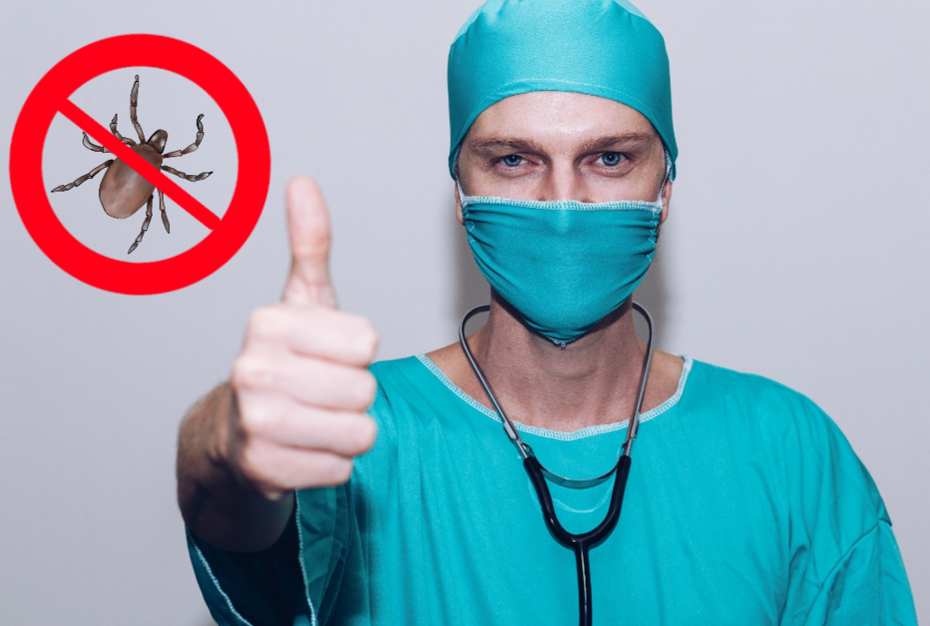 5 ACTIONS A FAIRE EN CAS DE MORSURE OU DE "PIQURE" DE TIQUE